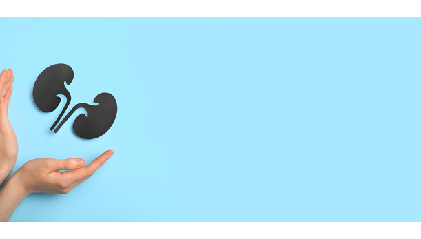 Renal Unit Services - Ladnan Hospital